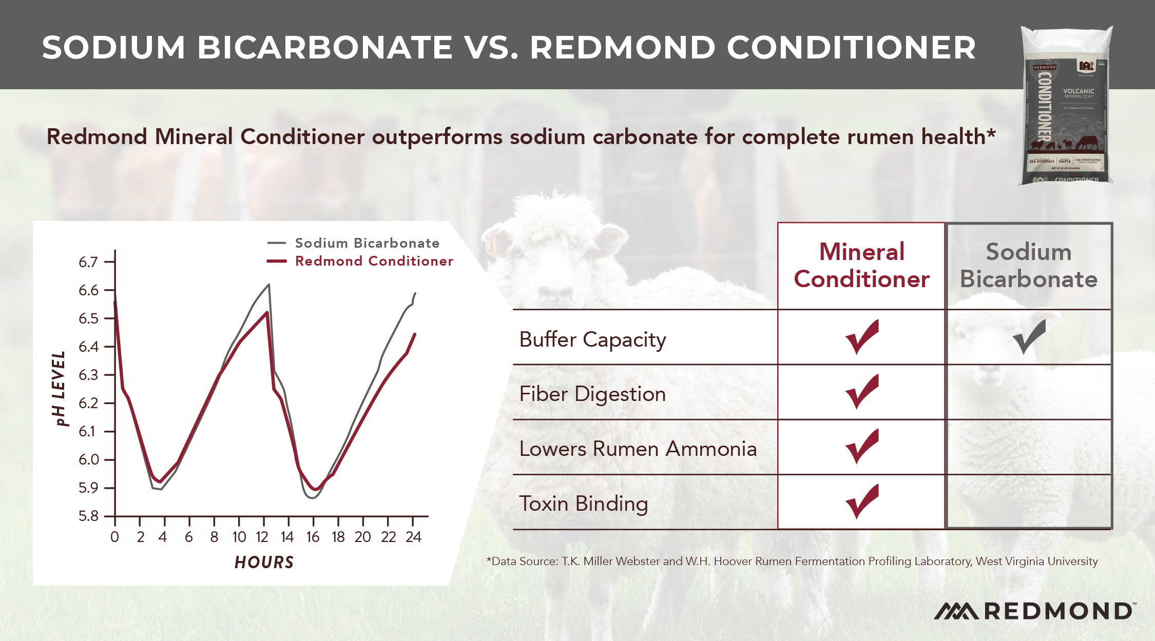 Rumen Buffers For Cattle: Redmond Conditioner vs. Sodium Bicarbonate