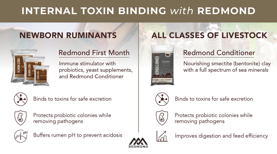 Feed Toxin Binding
