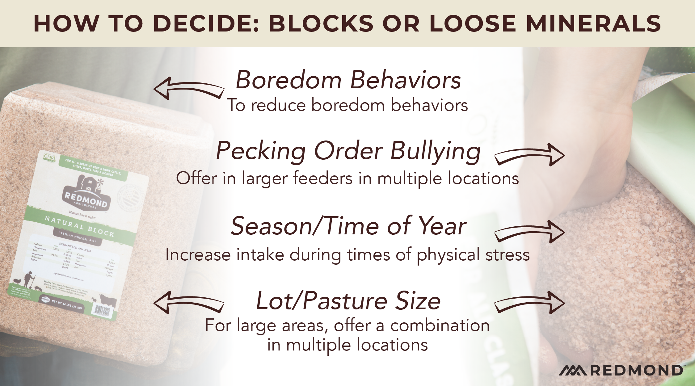 Livestock Mineral Feeding Tips: Blocks vs. Loose Minerals
