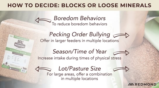 Livestock Mineral Feeding Tips: Blocks vs. Loose Minerals