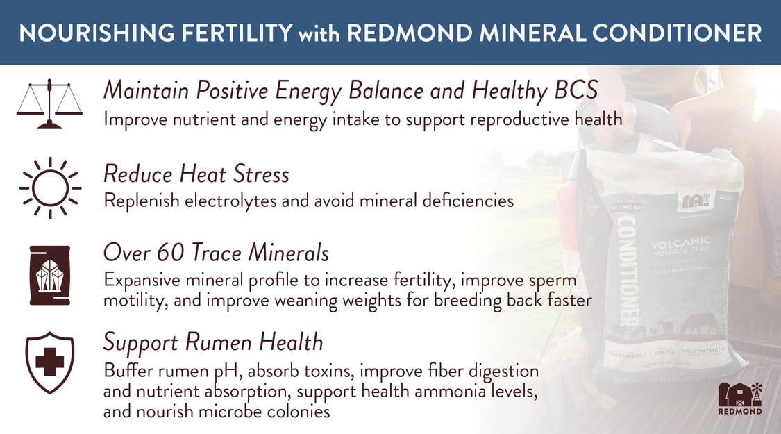 Improving Conception Rates With Redmond Conditioner