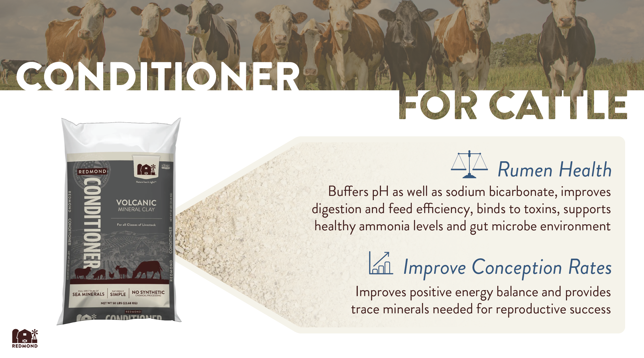 Clay Conditioner Benefits: Species by Species
