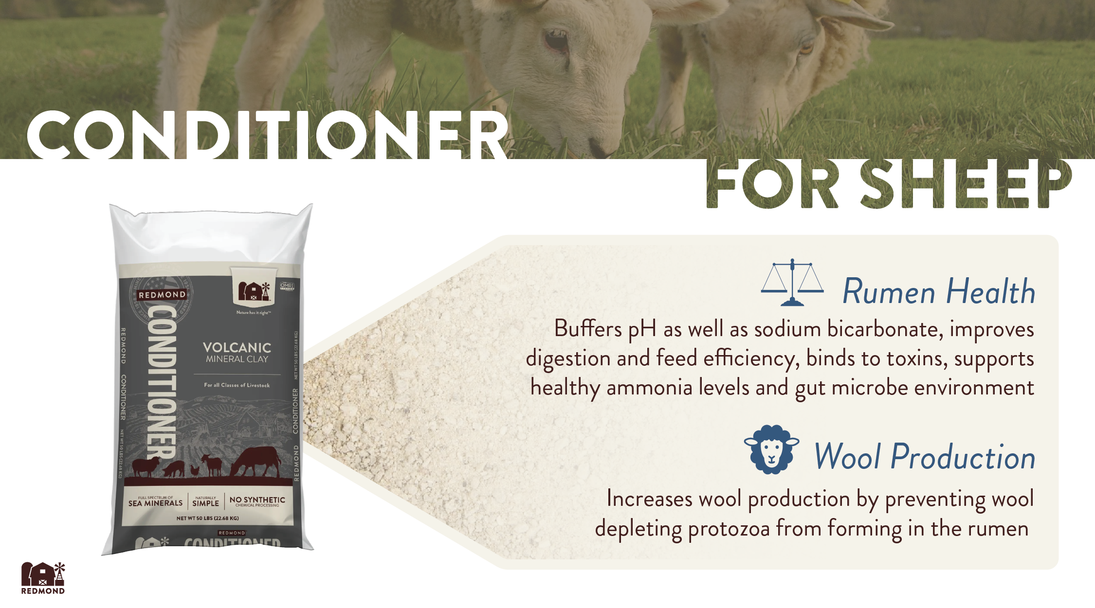 Clay Conditioner Benefits: Species by Species