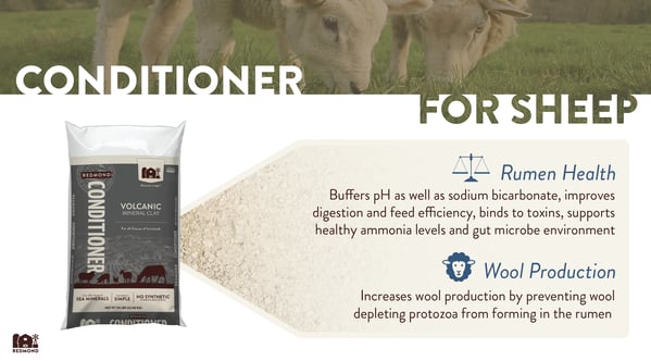 Clay Conditioner Benefits: Species by Species