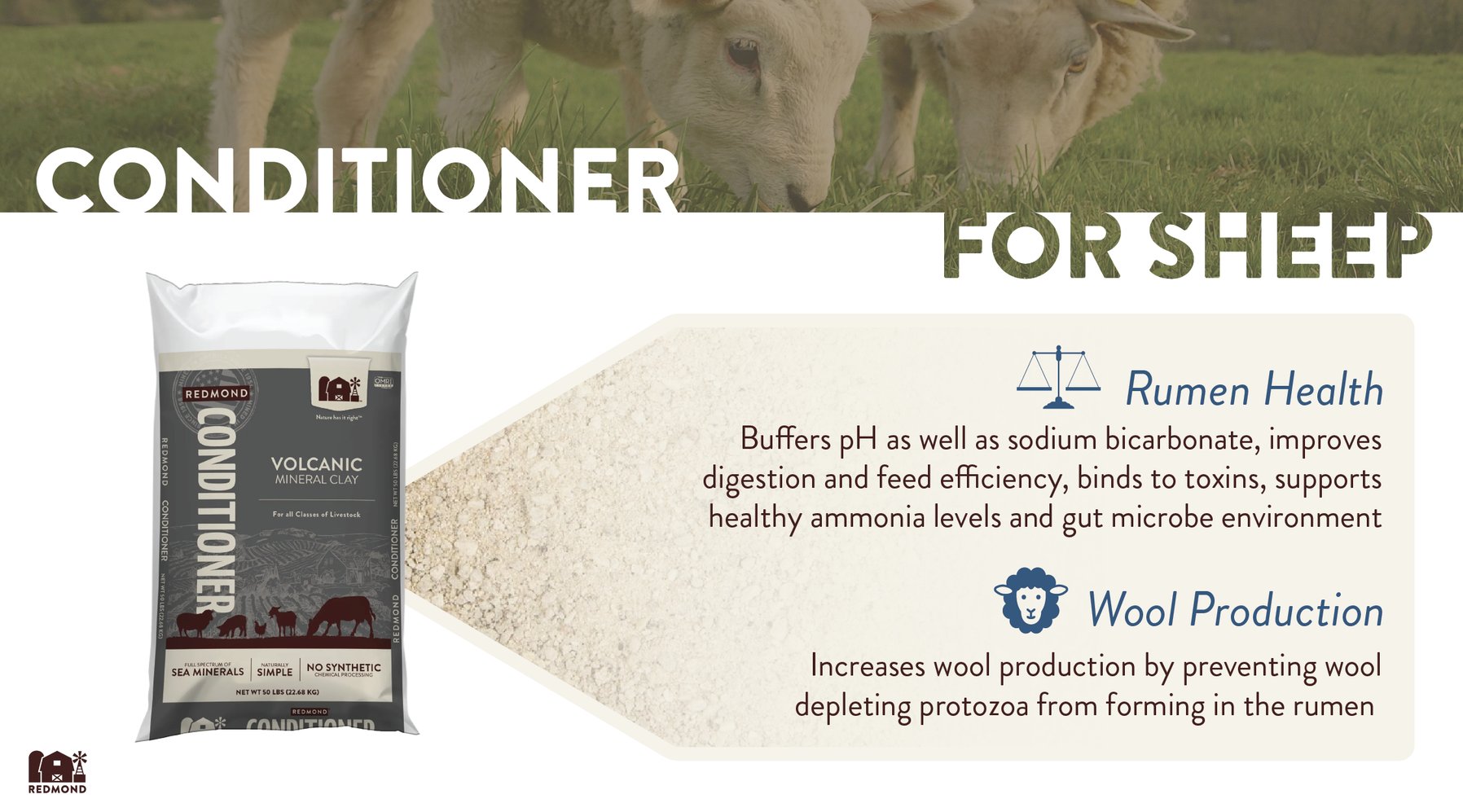 Clay Conditioner Benefits: Species by Species