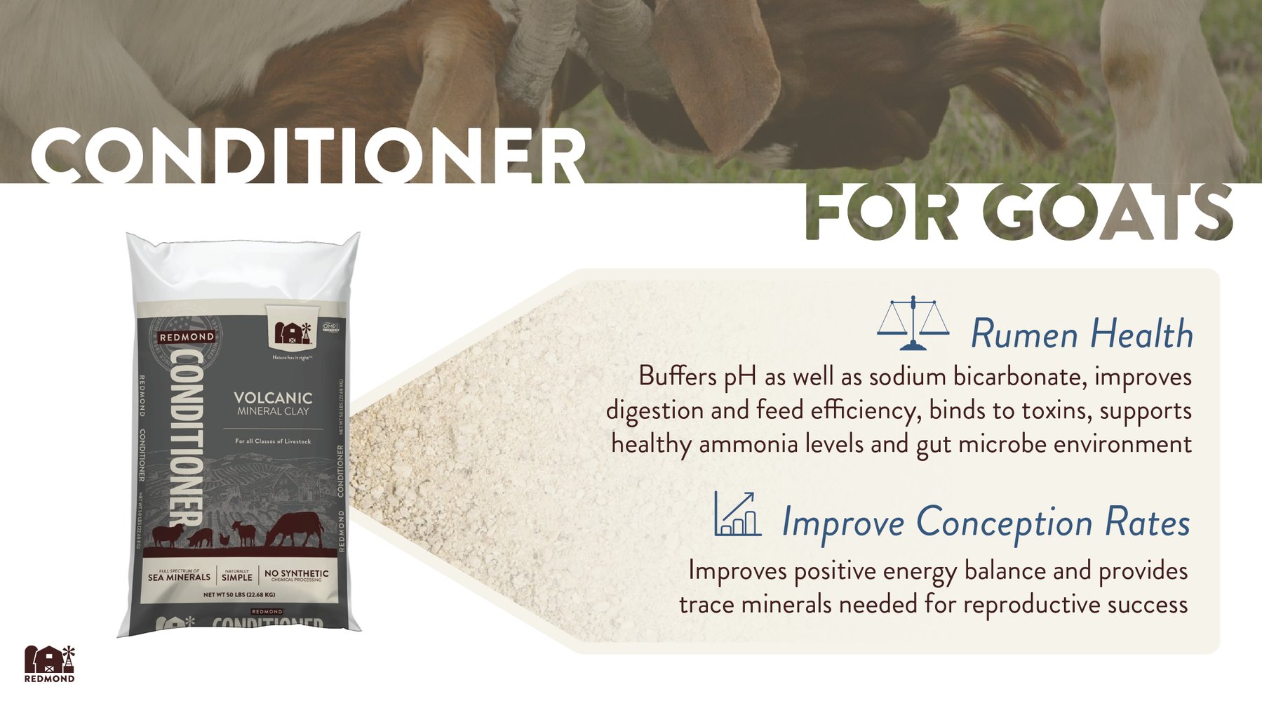 Clay Conditioner Benefits: Species by Species