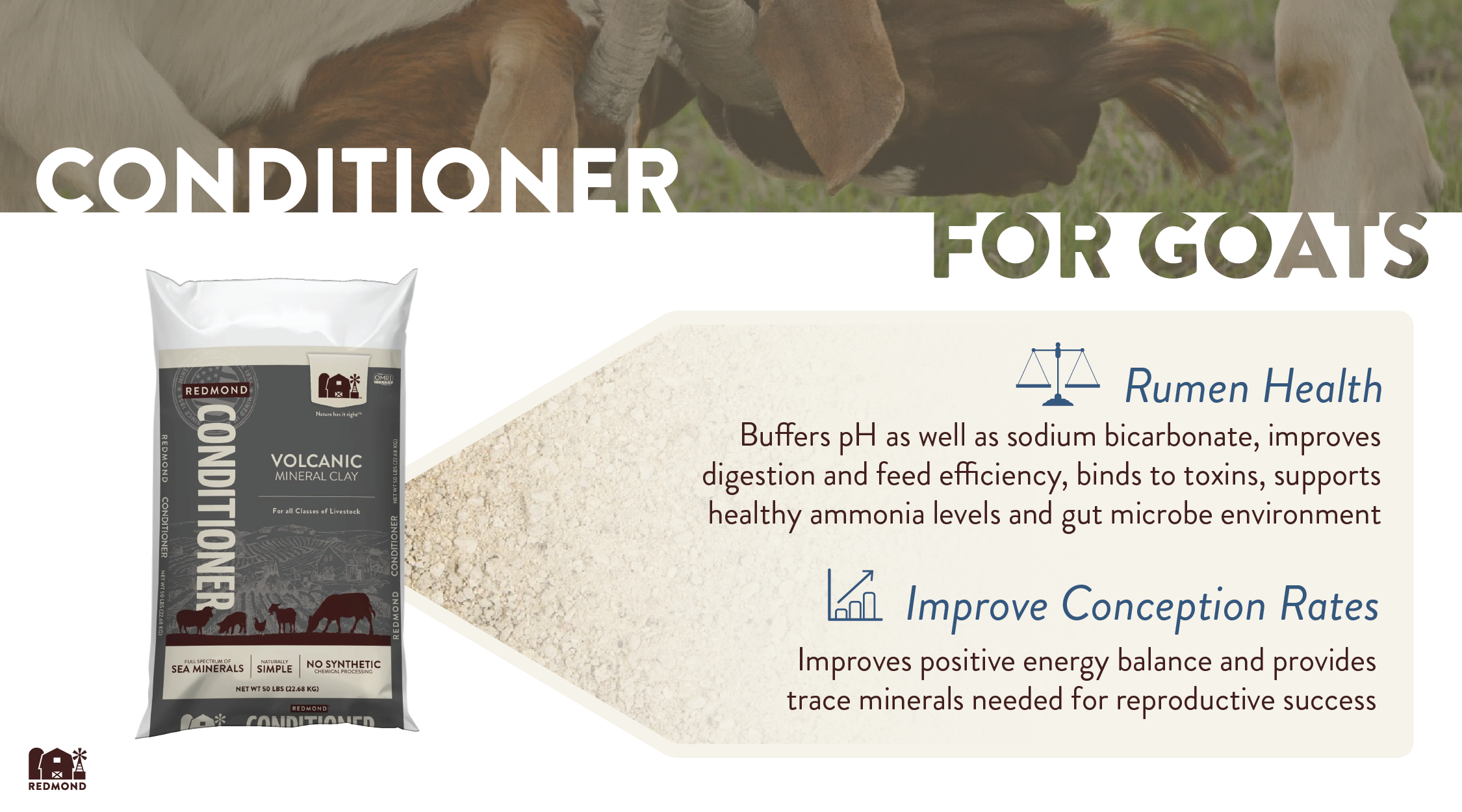 Clay Conditioner Benefits: Species by Species