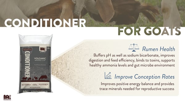 Clay Conditioner Benefits: Species by Species