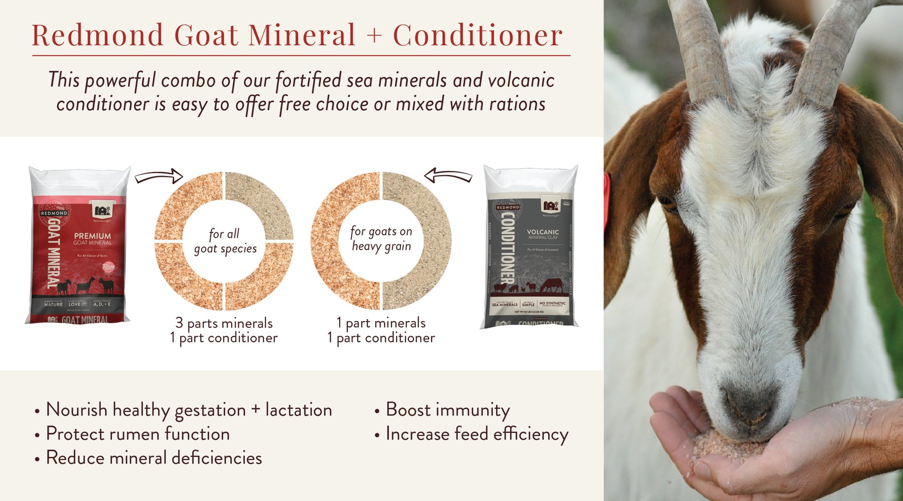 What Minerals do Pregnant Goats Need?