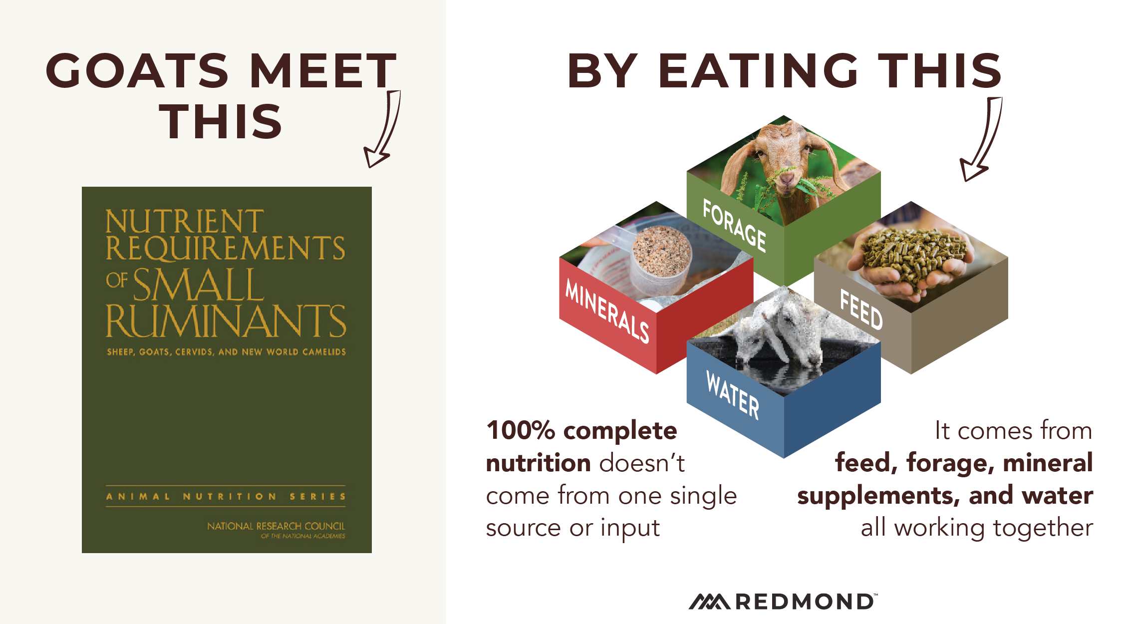 What Minerals Do Goats Need?