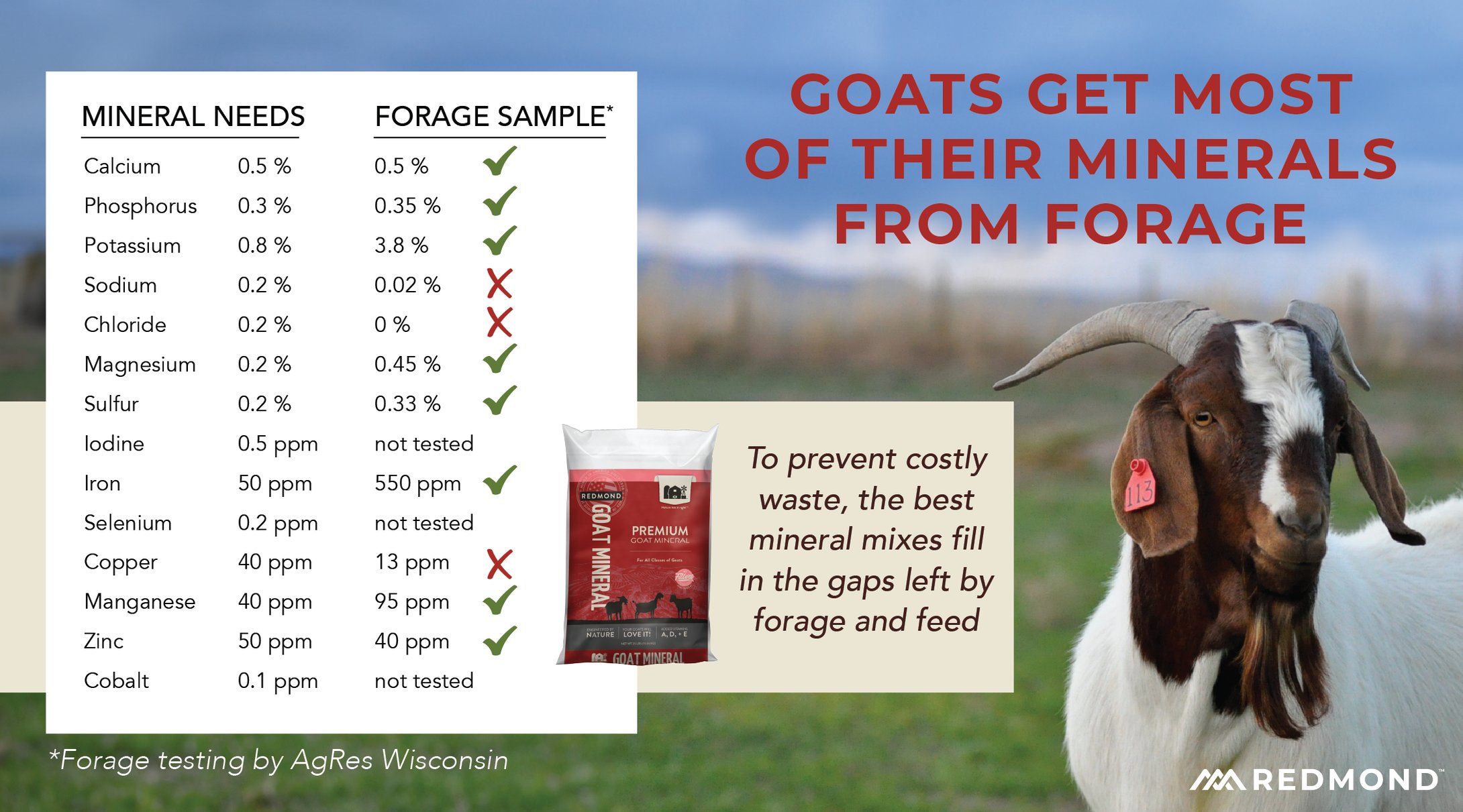 What Minerals Do Goats Need?