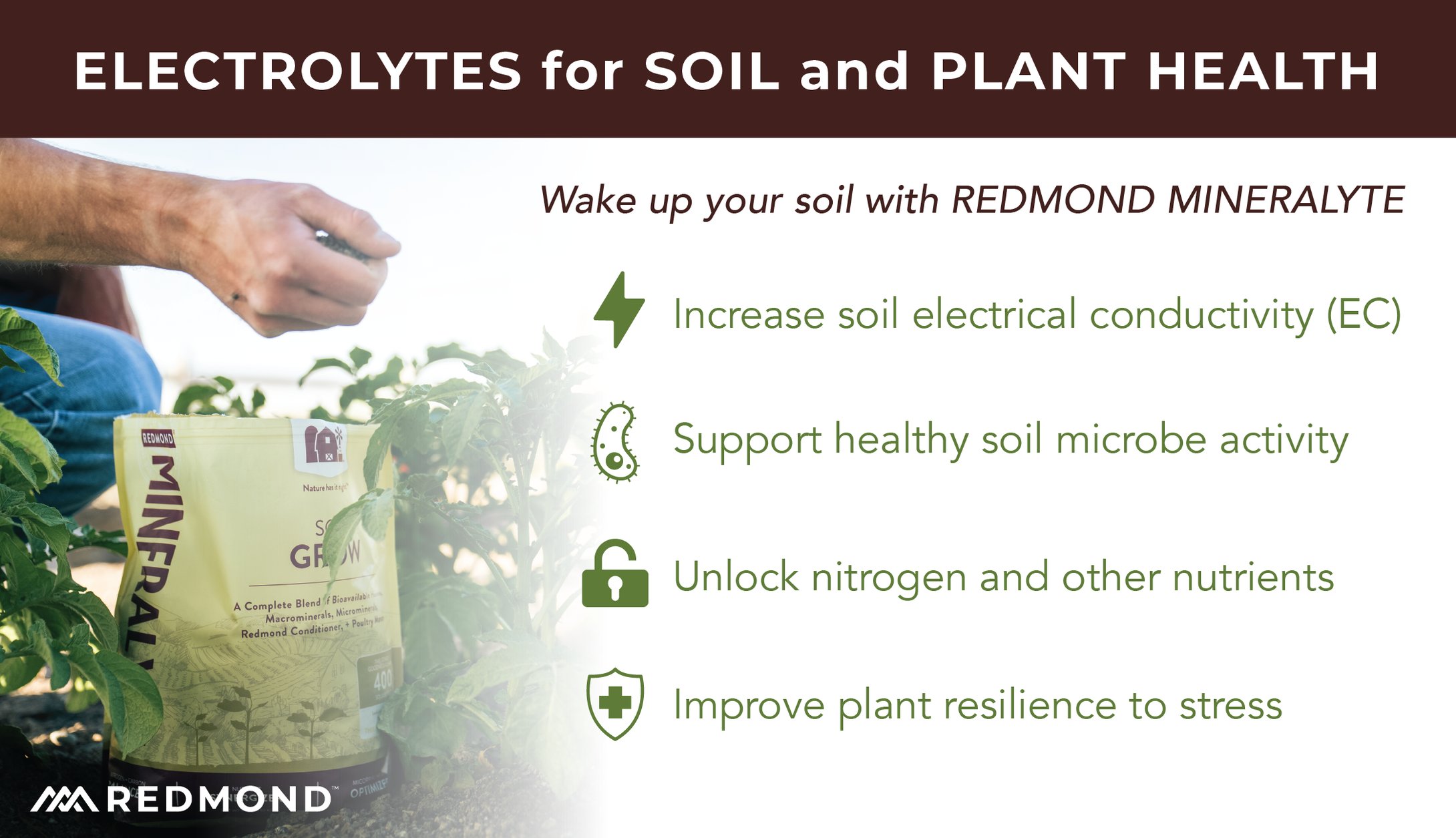 Electrolytes and Hydration: Health for Your Whole Farm