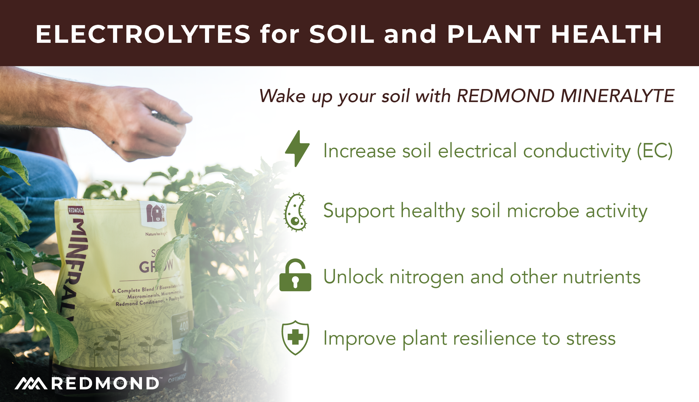 Electrolytes and Hydration: Health for Your Whole Farm