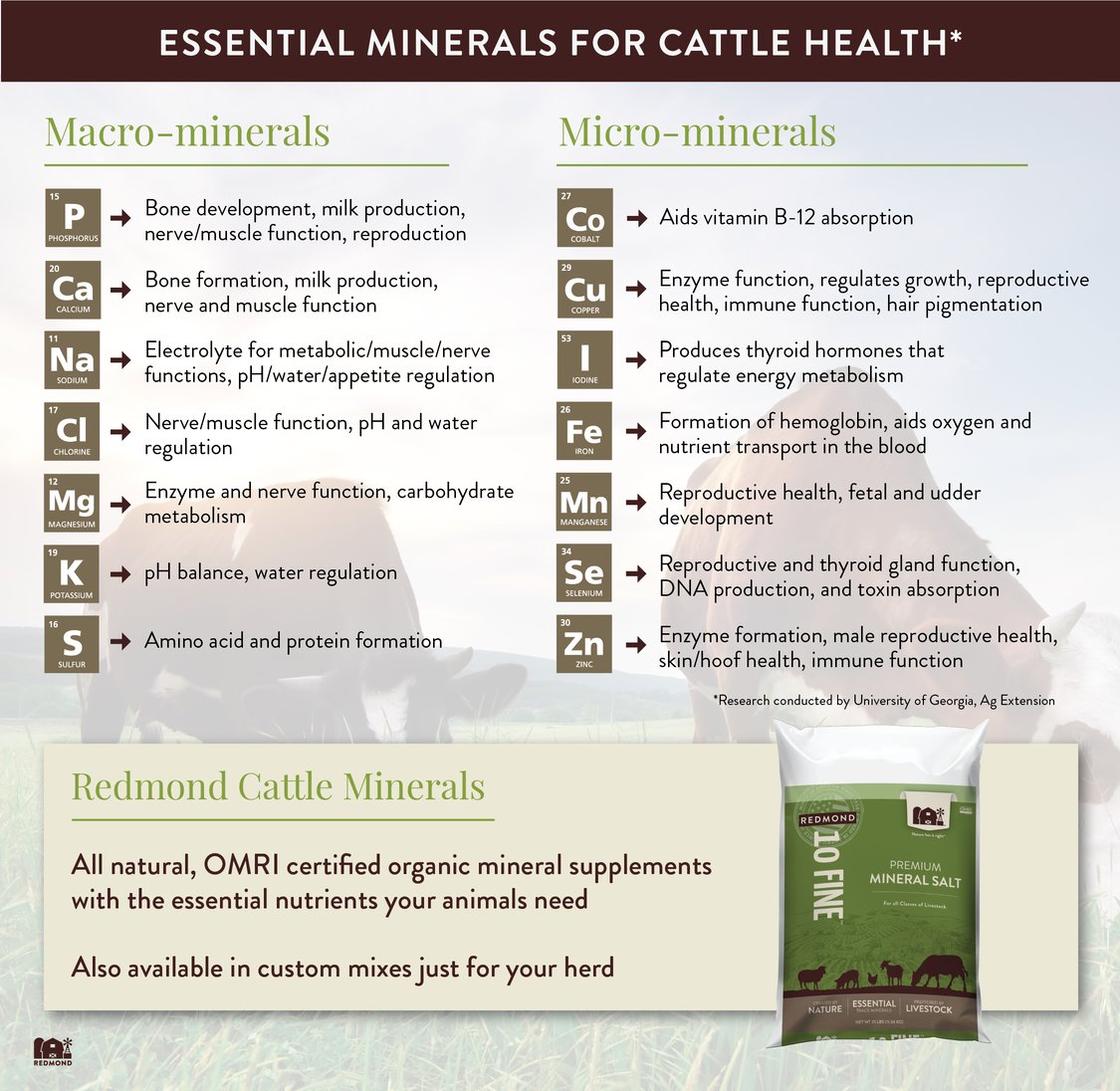 How Much Iron Do Cattle Need?
