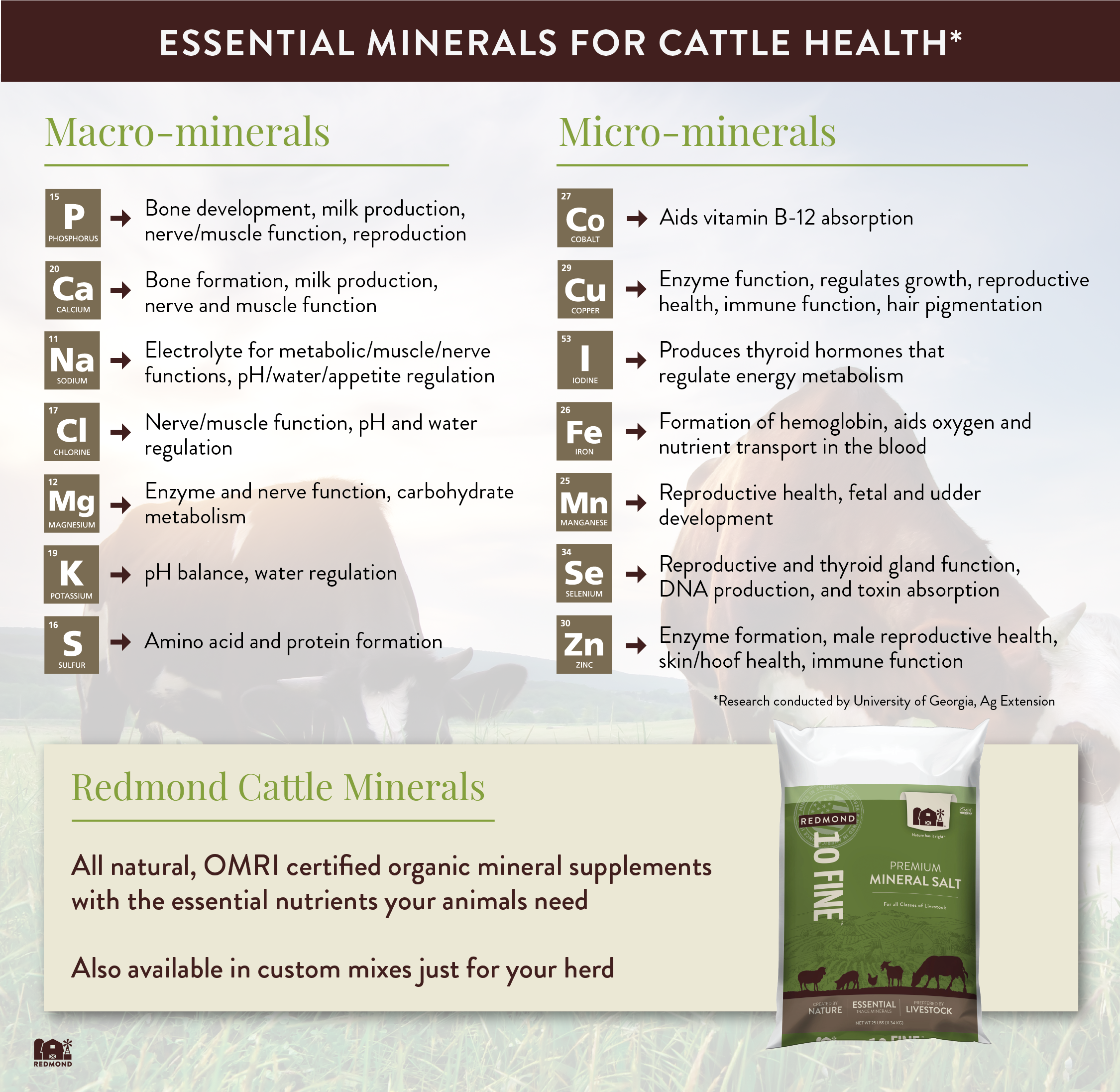 How Much Iron Do Cattle Need?