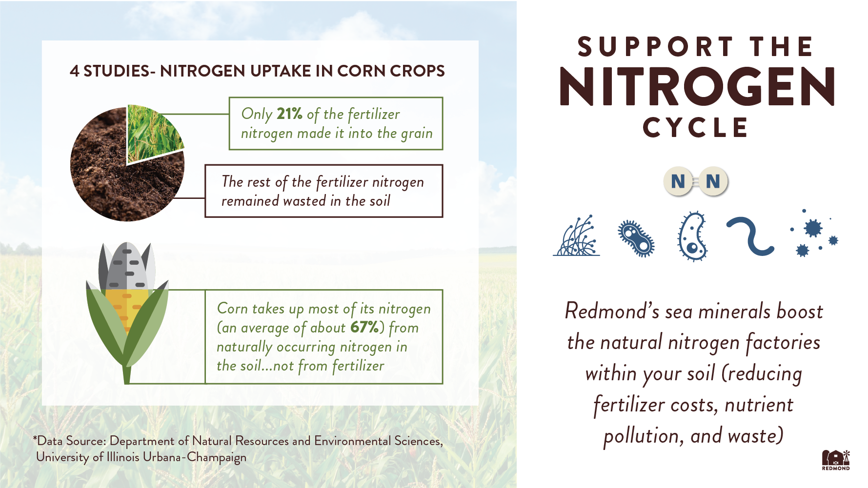 The Nitrogen Cycle