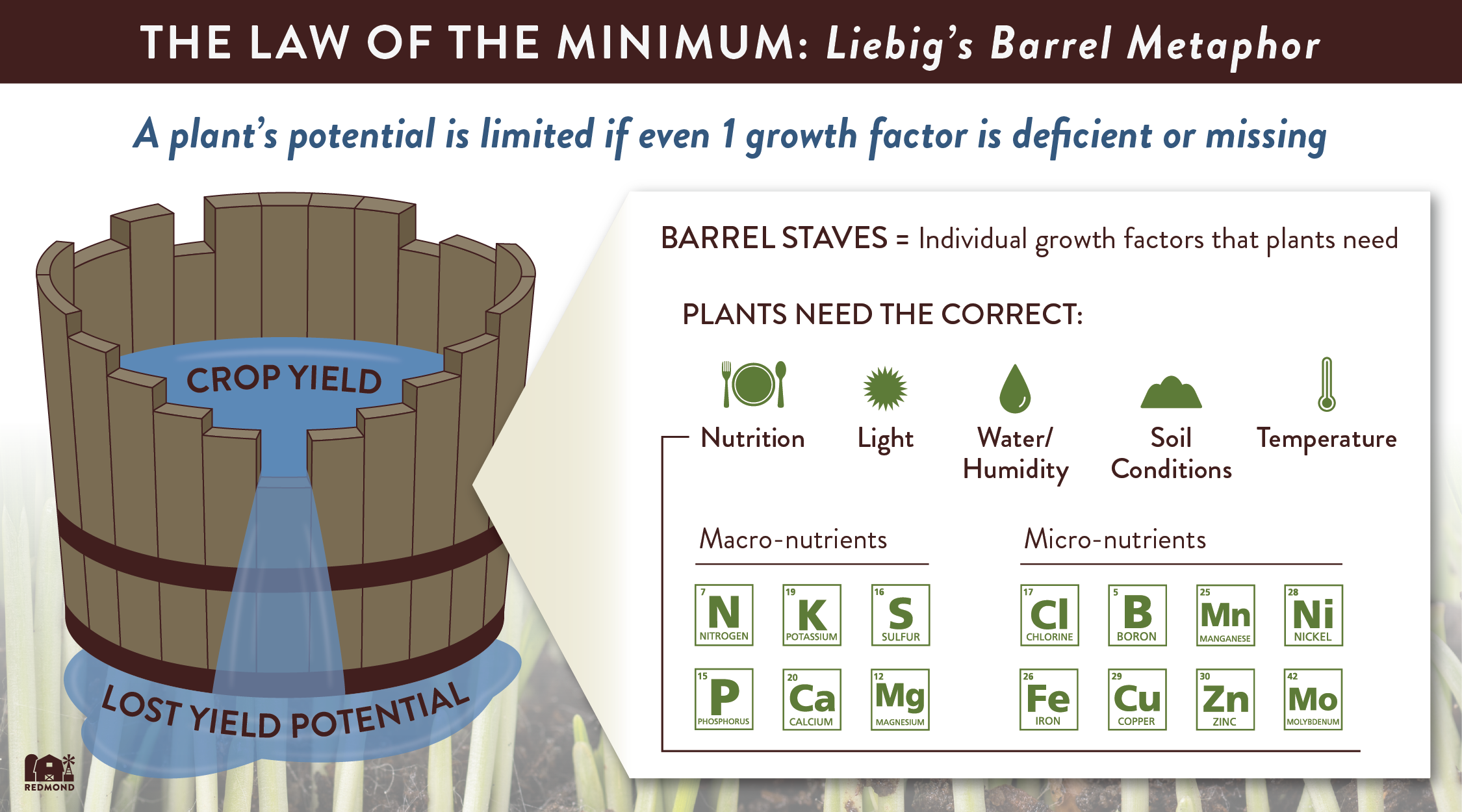 Law Of The Minimum