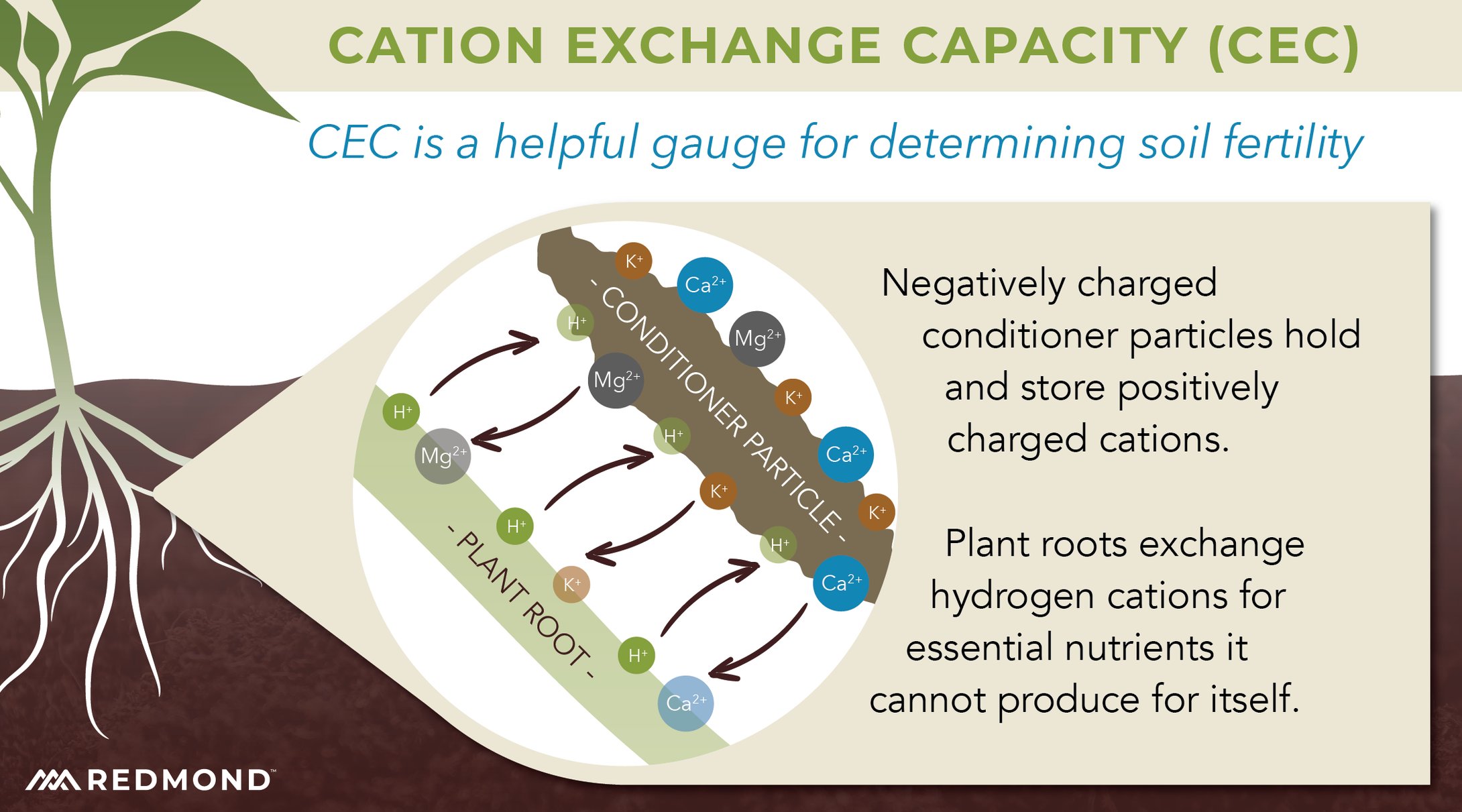 Soil EC (Electrical Conductivity) And CEC (Cation Exchange Capacity)