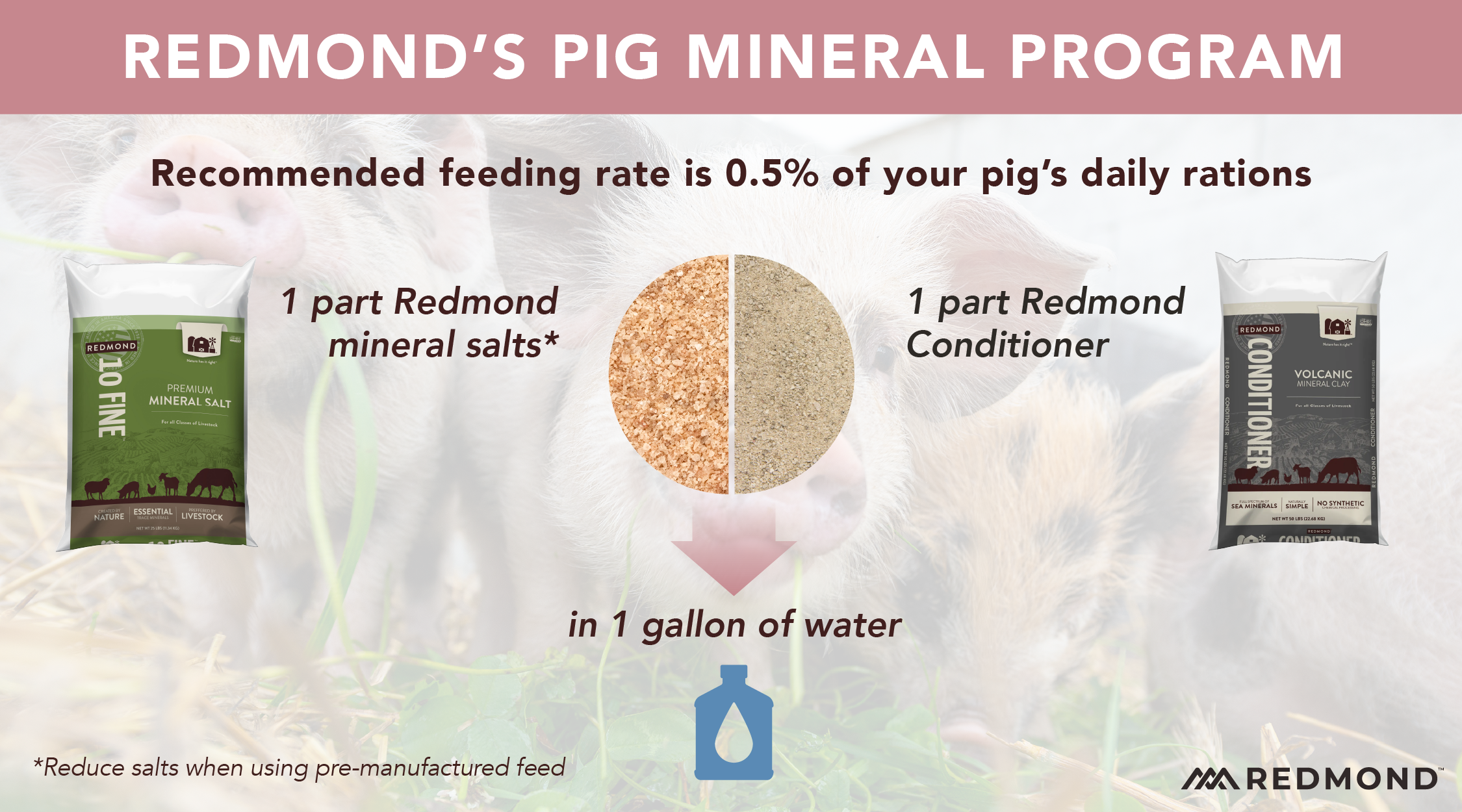 Minerals for Pigs