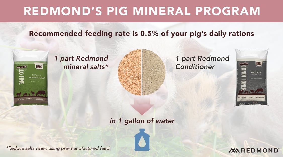 Minerals for Pigs