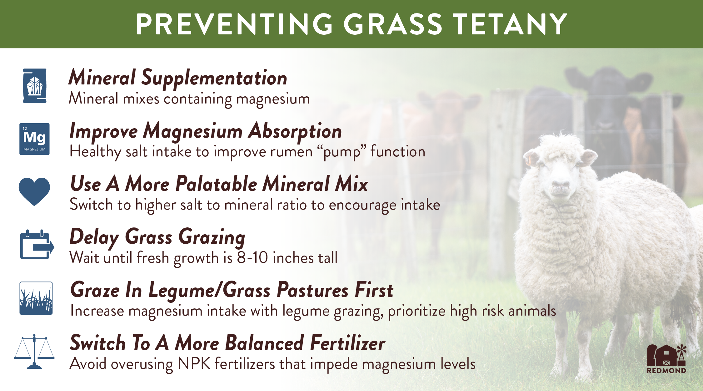 Preventing Grass Tetany