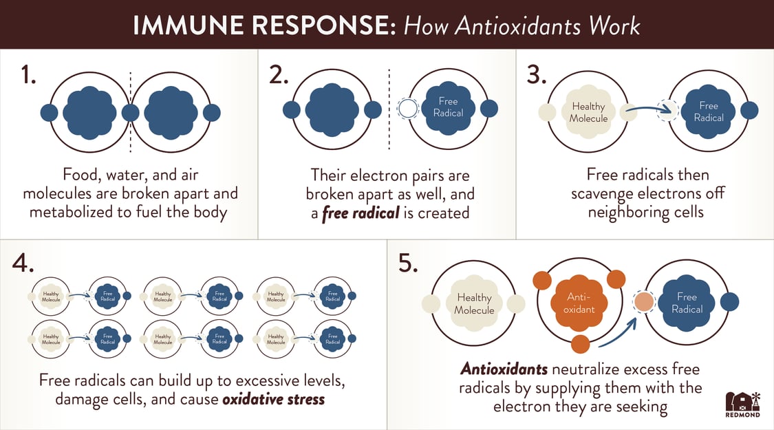 Selenium and Immunity