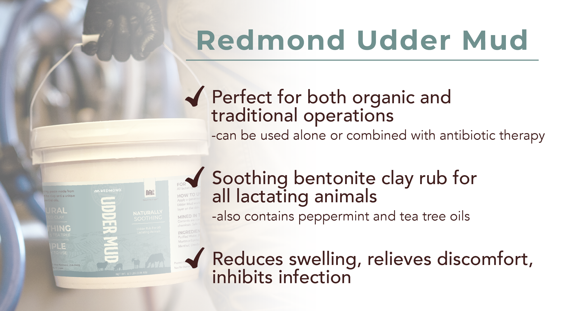 Naturally Treat Mastitis in Cows, Goats, and Sheep